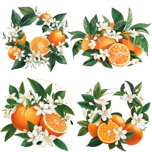 Cutie Orange Clipart, Summer Fruits, Party Food, Bright Oranges ...
