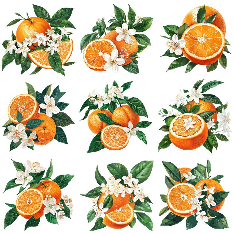 Cutie Orange Clipart, Summer Fruits, Party Food, Bright Oranges ...