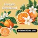 Cutie Orange Clipart, Summer Fruits, Party Food, Bright Oranges ...