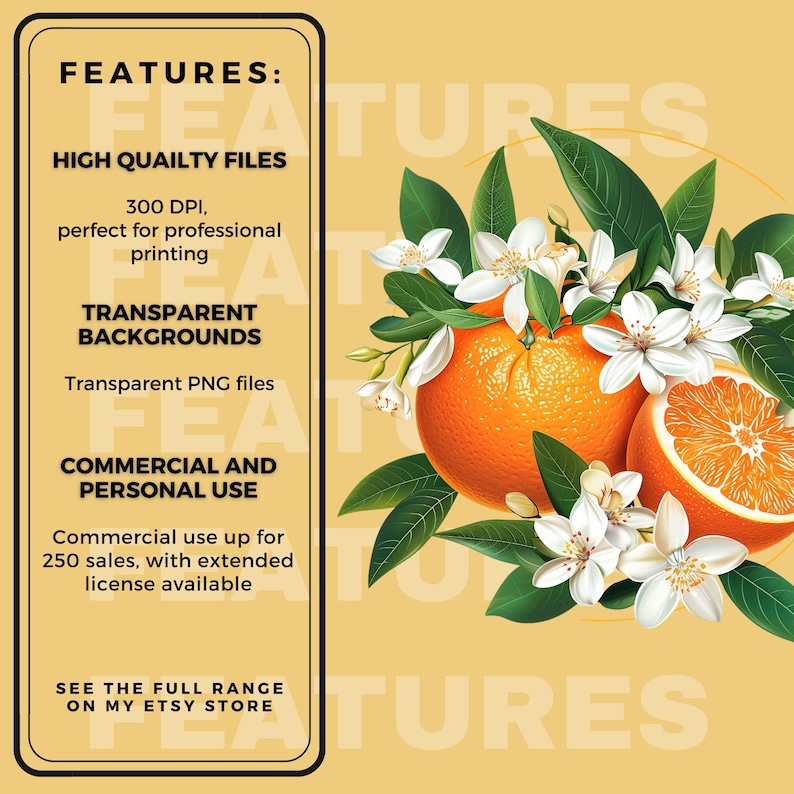 Cutie Orange Clipart, Summer Fruits, Party Food, Bright Oranges ...