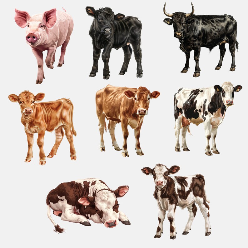 Farm Png | Farm Animals | Farming Clipart | Tractor Png | Farm Life Png ...
