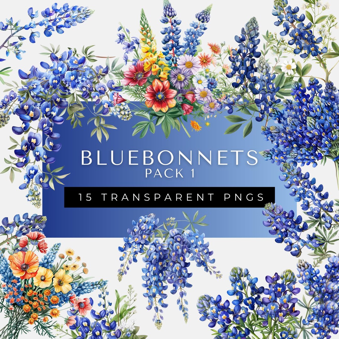 Bluebonnet PNG | Floral Clipart | Texas Bluebonnets PNG | Watercolor ...