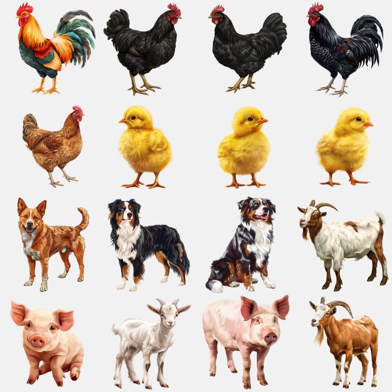 Farm Png | Farm Animals | Farming Clipart | Tractor Png | Farm Life Png ...