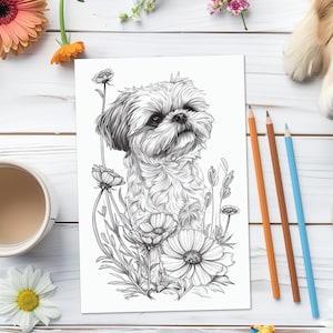 shih tzu st patricks day coloring pages