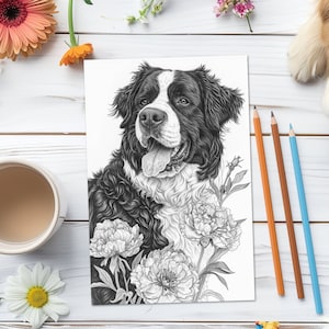 bernese mountain dog coloring pages