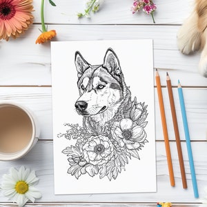 Siberian Husky Dog Coloring Page/sheet, Adult/teen Printable Coloring ...