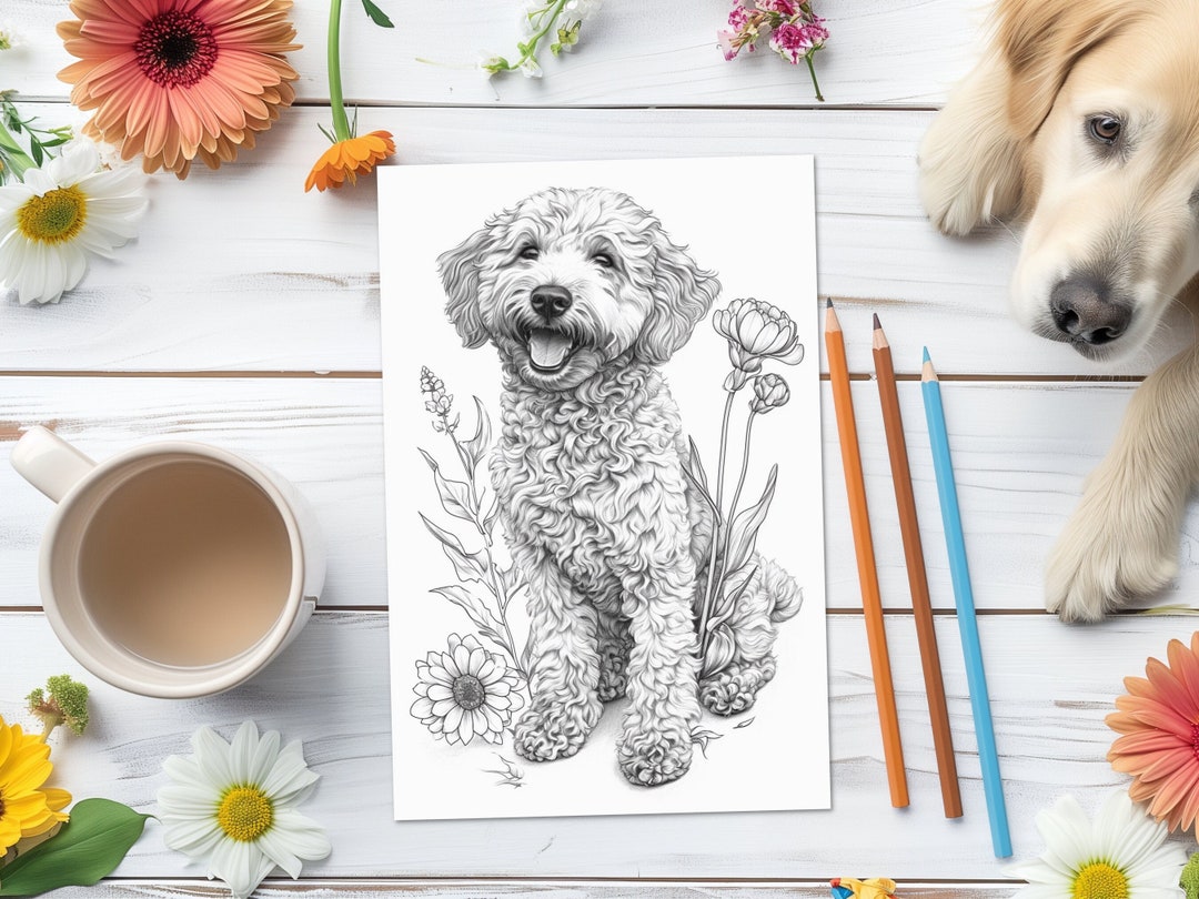 Goldendoodle Dog Coloring Page/sheet, Adult/teen Printable Coloring ...