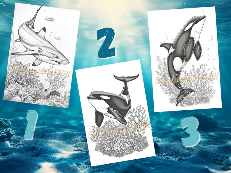 15 Ocean Life Coloring Pages Adults Coloring Book Kids Coloring Sheets ...