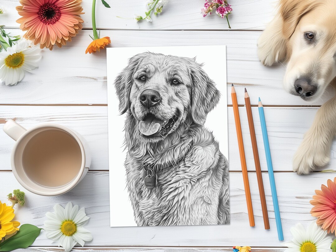Golden Retriever Dog Coloring Page/sheet, Adult/teen Printable Coloring ...