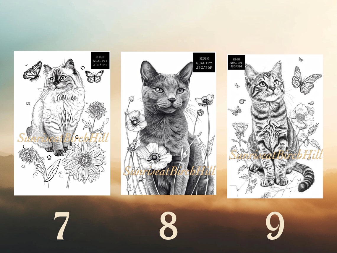 10 Cat Coloring Pages/sheets, Instant Download Printable Coloring Book ...