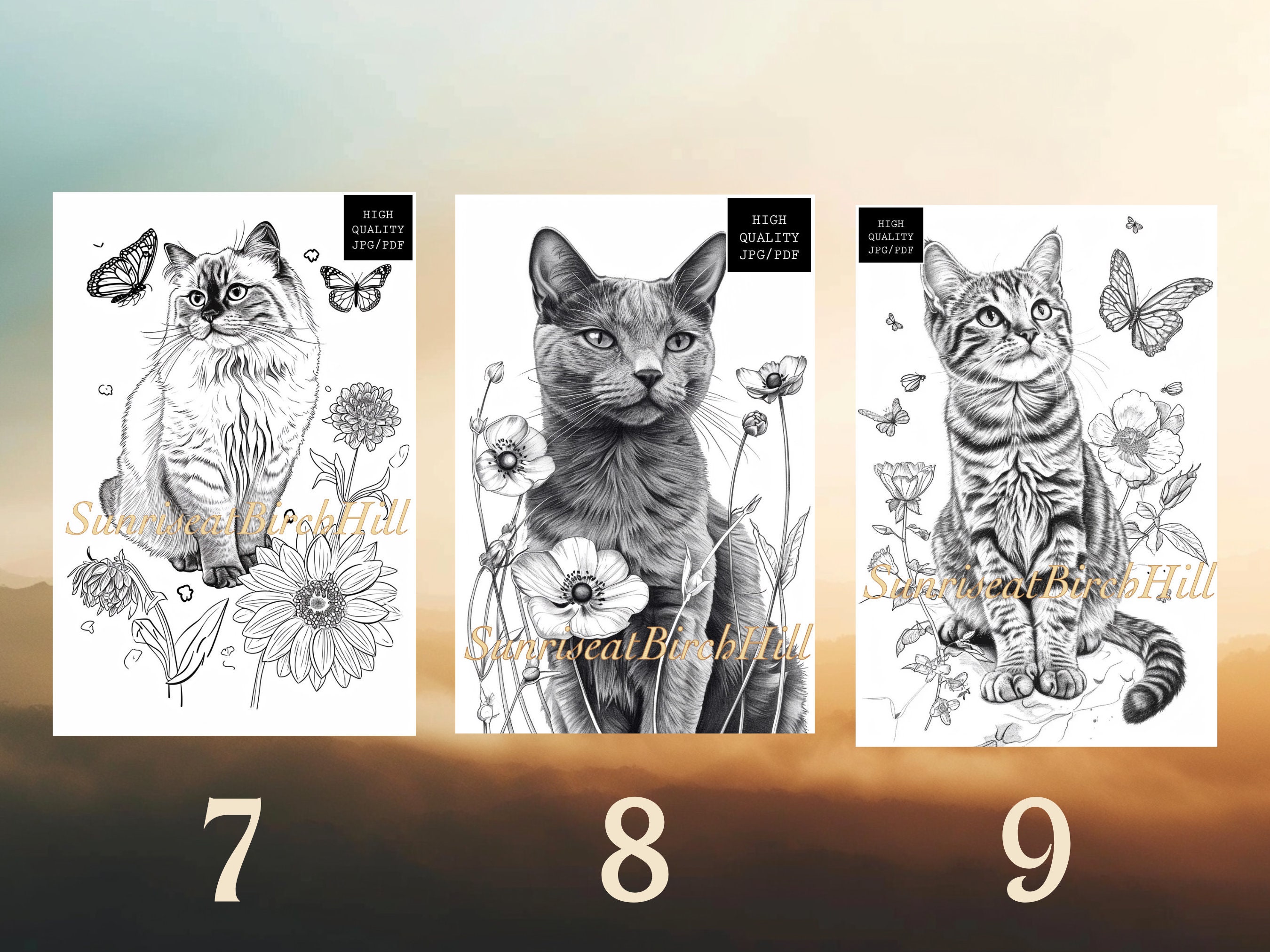 10 Cat Coloring Pages/sheets, Instant Download Printable Cat Coloring ...