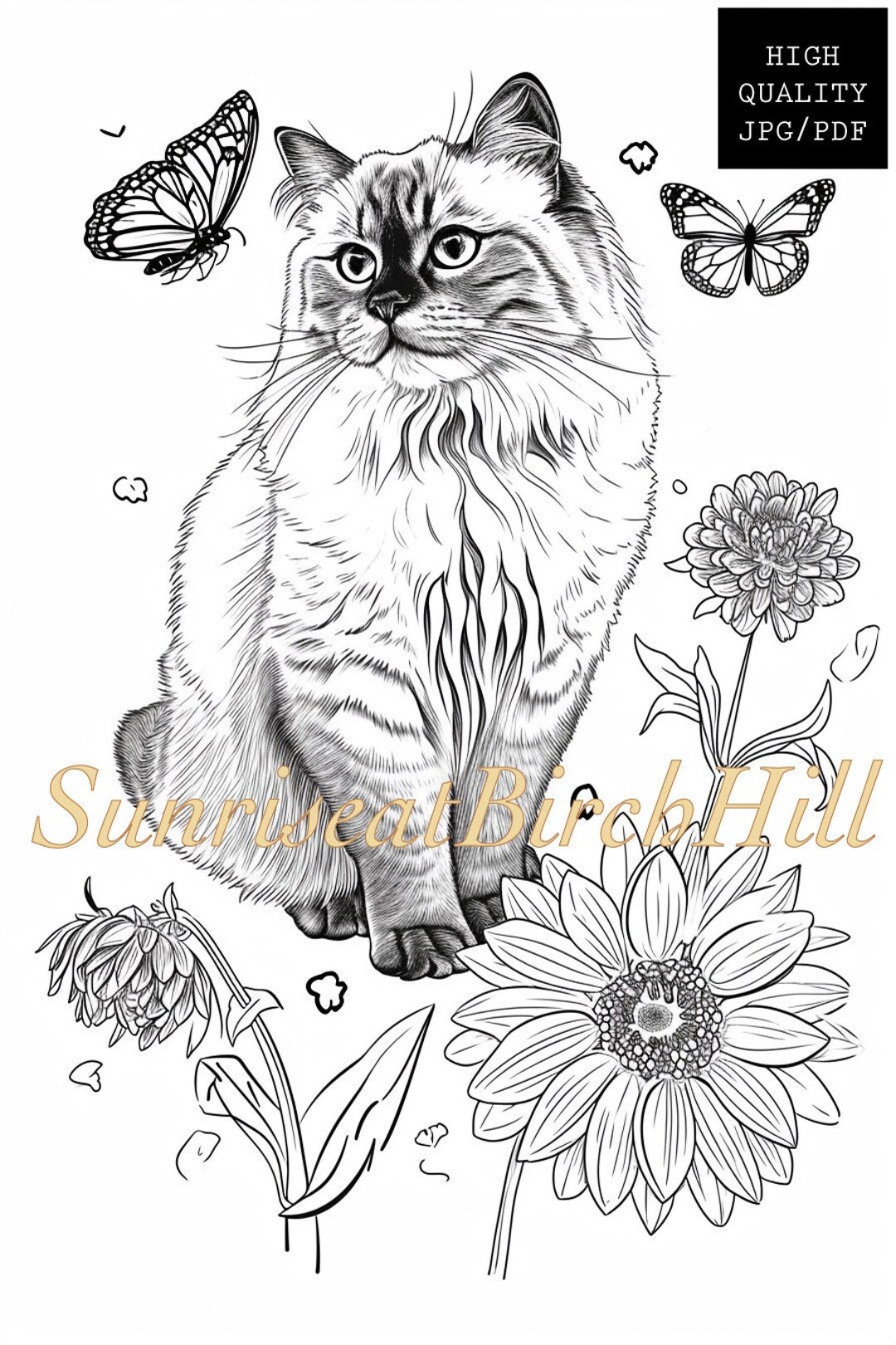 Himalayan Cat Coloring Page/sheet, Adult Printable Coloring Pet ...