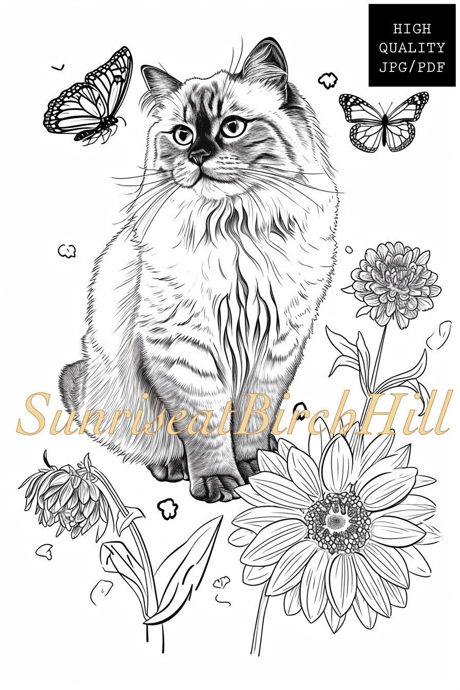 Himalayan Cat Coloring Page/sheet, Adult Printable Coloring Pet ...