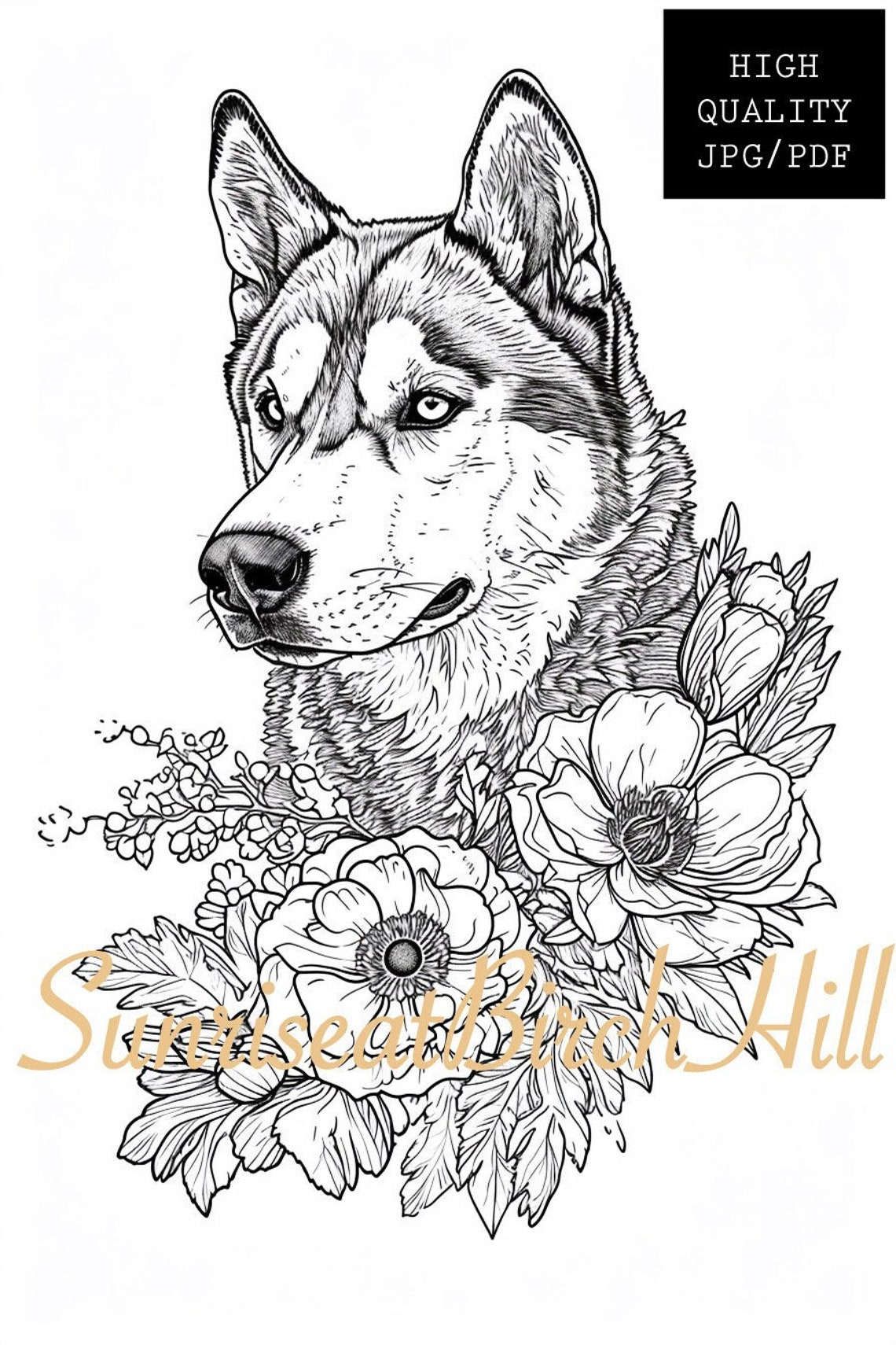 Siberian Husky Dog Coloring Page/sheet, Adult/teen Printable Coloring ...