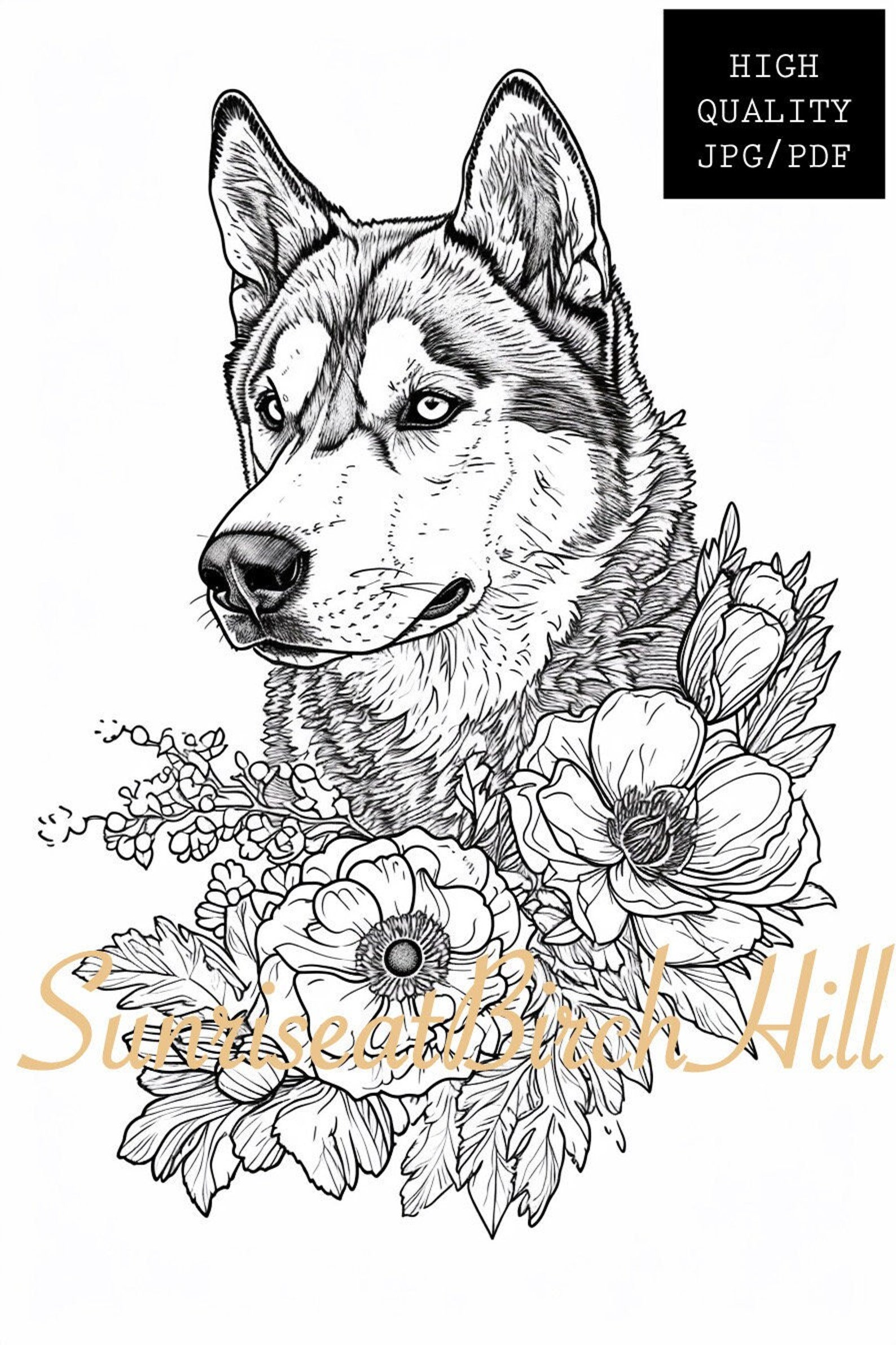 Siberian Husky Dog Coloring Page/sheet, Adult/teen Printable Coloring ...