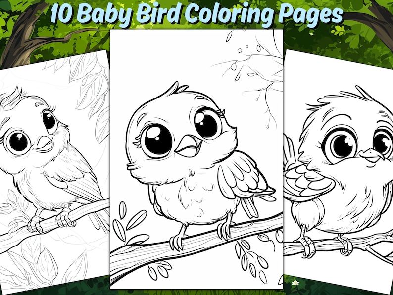 10 Baby Bird Coloring Page Kids Book Children Coloring Sheets of Cute ...