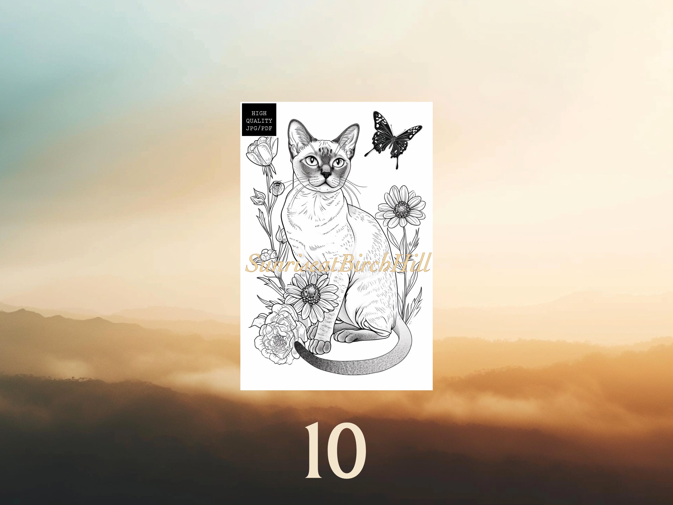 10 Cat Coloring Pages/sheets, Instant Download Printable Cat Coloring ...