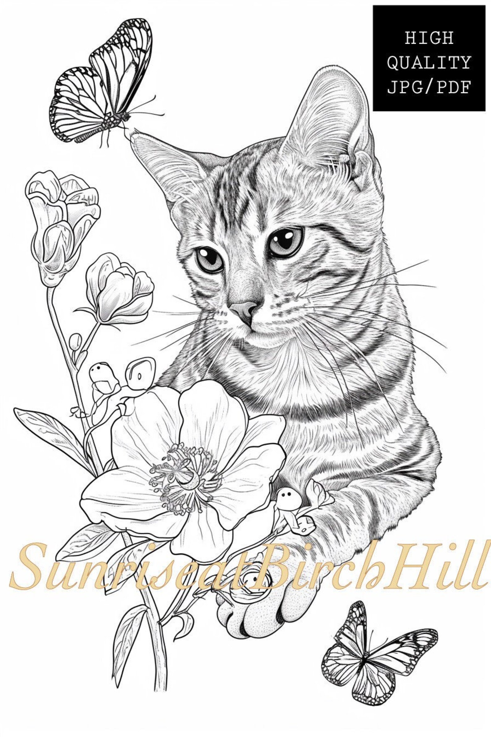 Bengal Cat Coloring Page/sheet, Adult Printable Coloring Page Pet ...