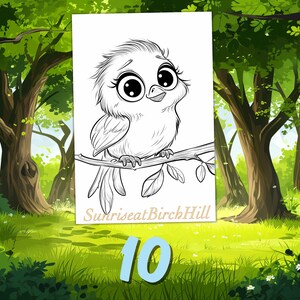 10 Baby Bird Coloring Page Kids Book Children Coloring Sheets of Cute ...