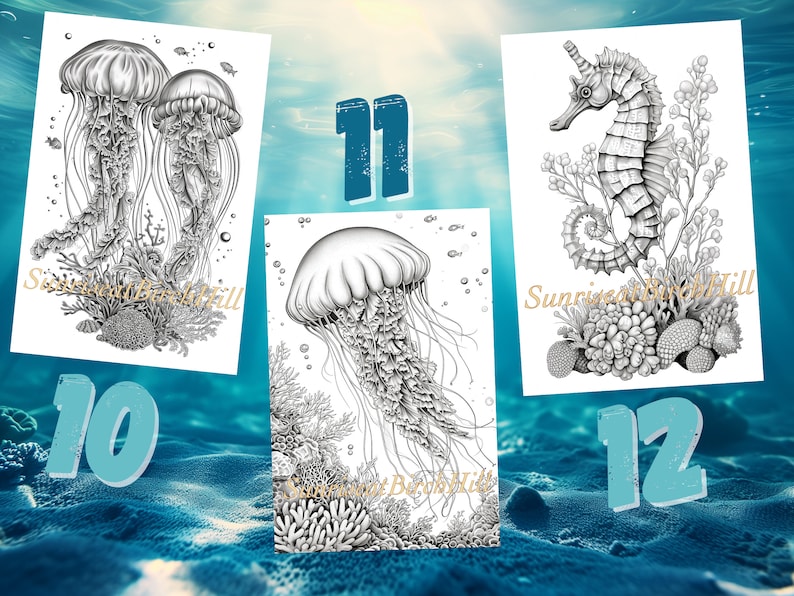 15 Ocean Life Coloring Pages Adults Coloring Book Kids Coloring Sheets ...