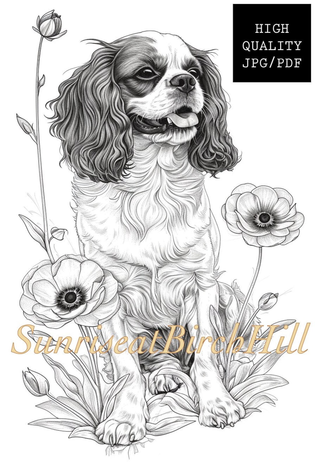 Cavalier King Charles Spaniel Dog Coloring Page/sheet, Adult/teen ...