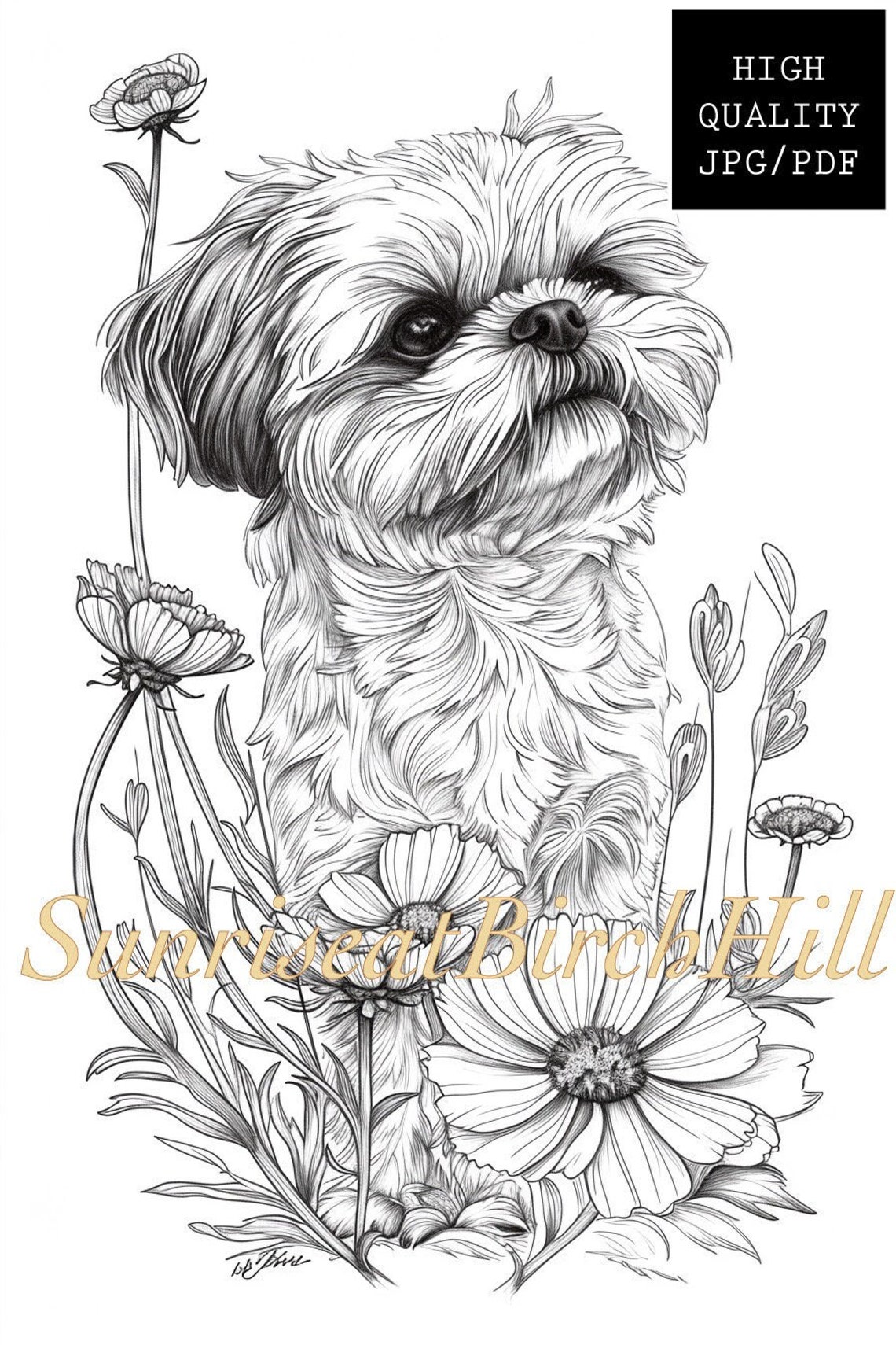 Shih Tzu Dog Coloring Page/sheet, Adult/teen Printable Coloring Page of ...