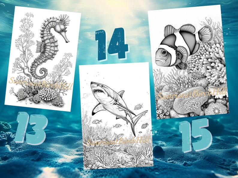 15 Ocean Life Coloring Pages Adults Coloring Book Kids Coloring Sheets ...