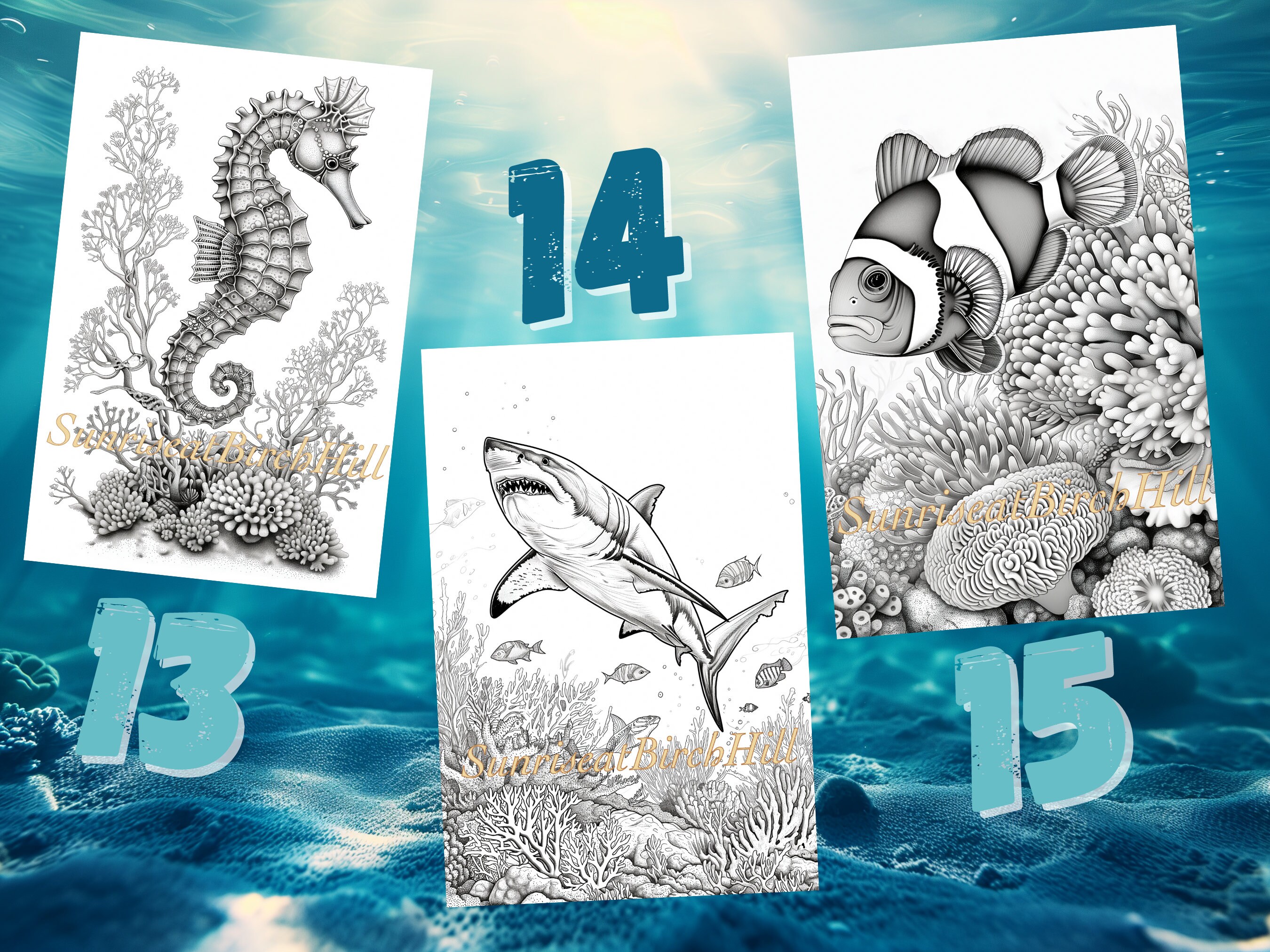 15 Ocean Life Coloring Pages Adults Coloring Book Kids Coloring Sheets ...