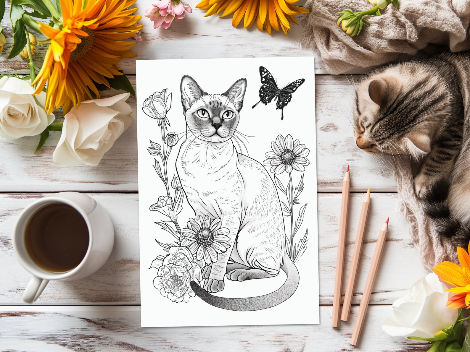 Burmese Cat Coloring Page/sheet, Adult Printable Coloring Pet Burmese ...
