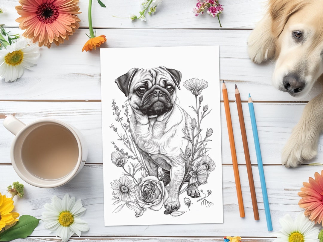Pug Dog Coloring Page/sheet, Adult/teen Printable Coloring Page of Pet ...