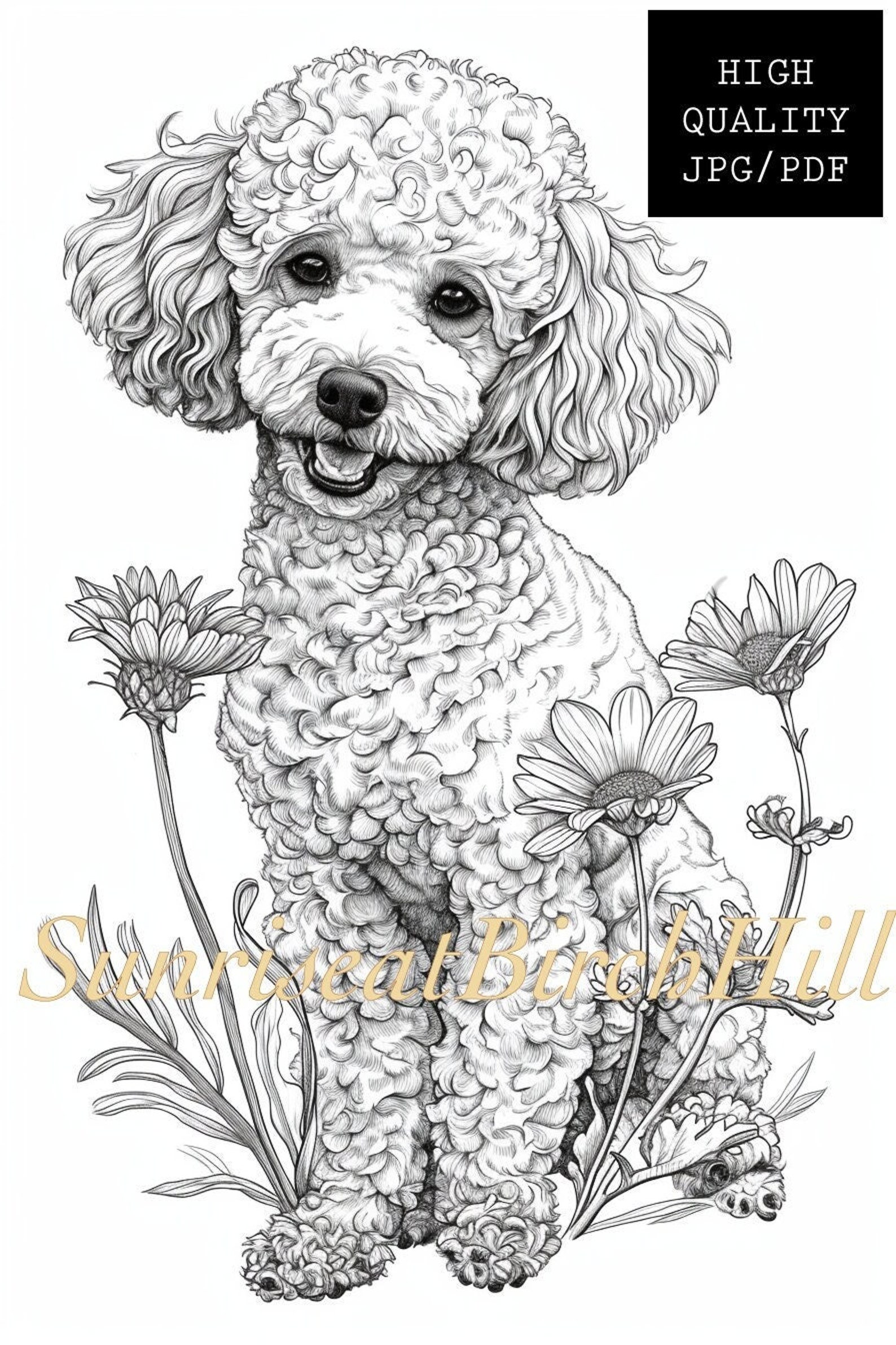 Poodle Dog Coloring Page/sheet, Adult/teen Printable Coloring Page of ...