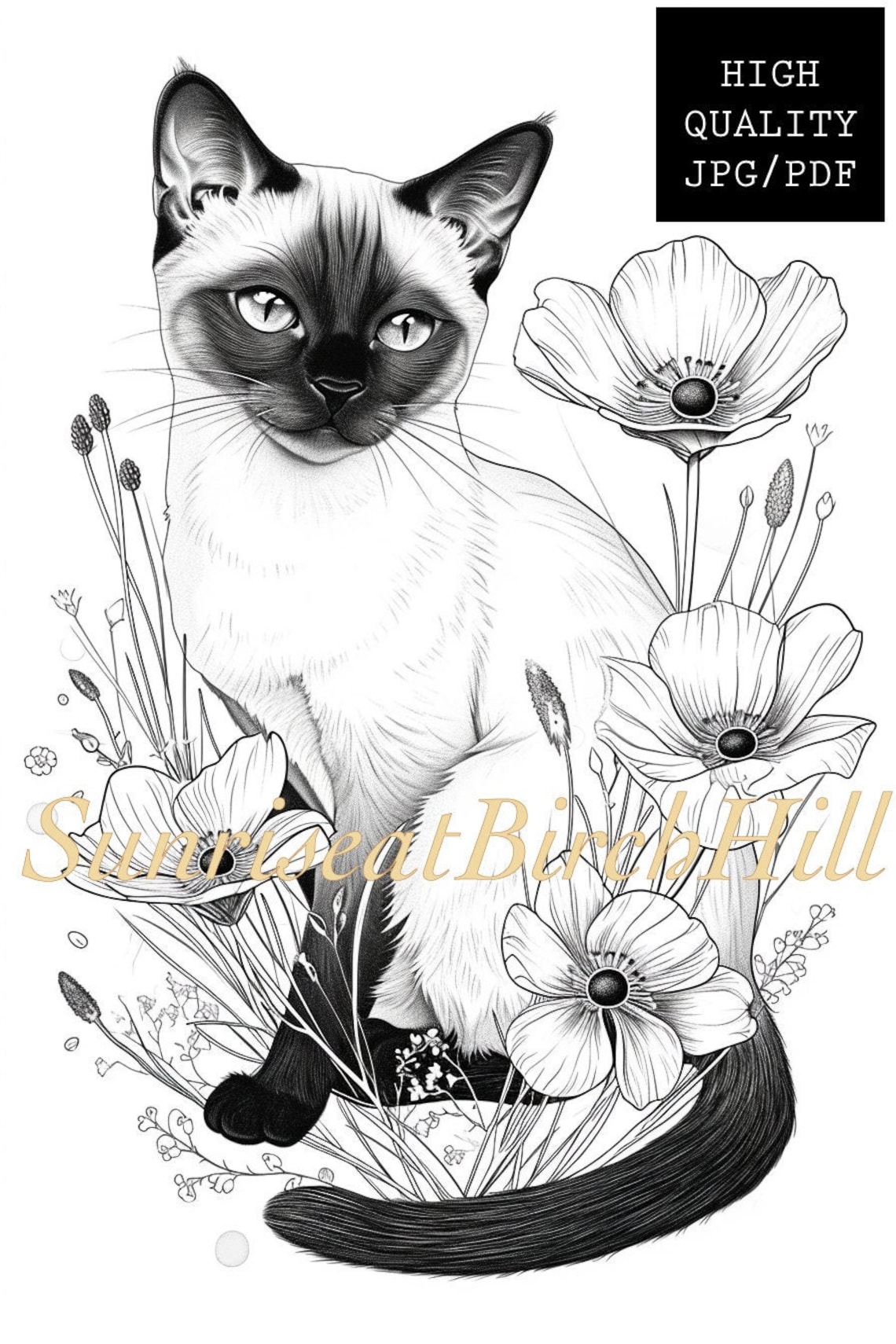 Siamese Cat Coloring Page/sheet, Adult/teen Printable Coloring Page of ...