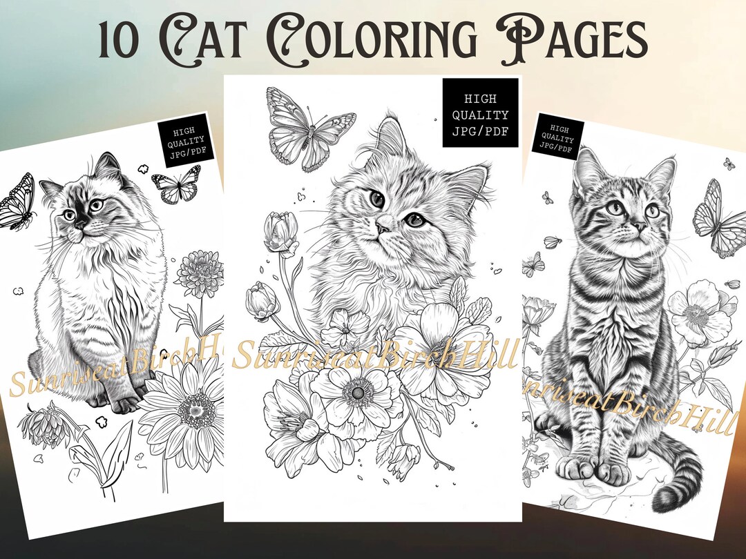10 Cat Coloring Pages/sheets, Instant Download Printable Cat Coloring ...