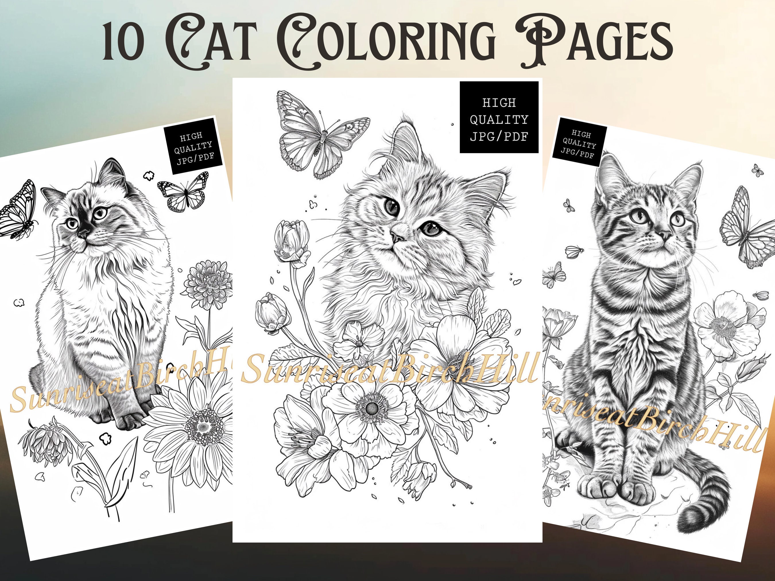 10 Cat Coloring Pages/sheets, Instant Download Printable Cat Coloring ...