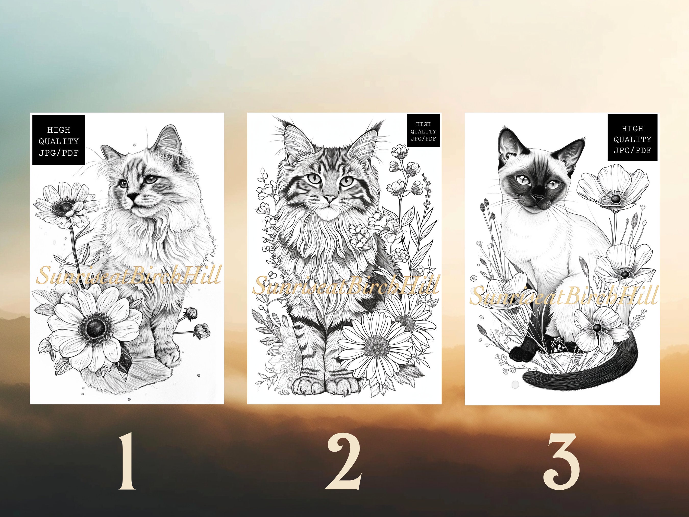 10 Cat Coloring Pages/sheets, Instant Download Printable Cat Coloring ...