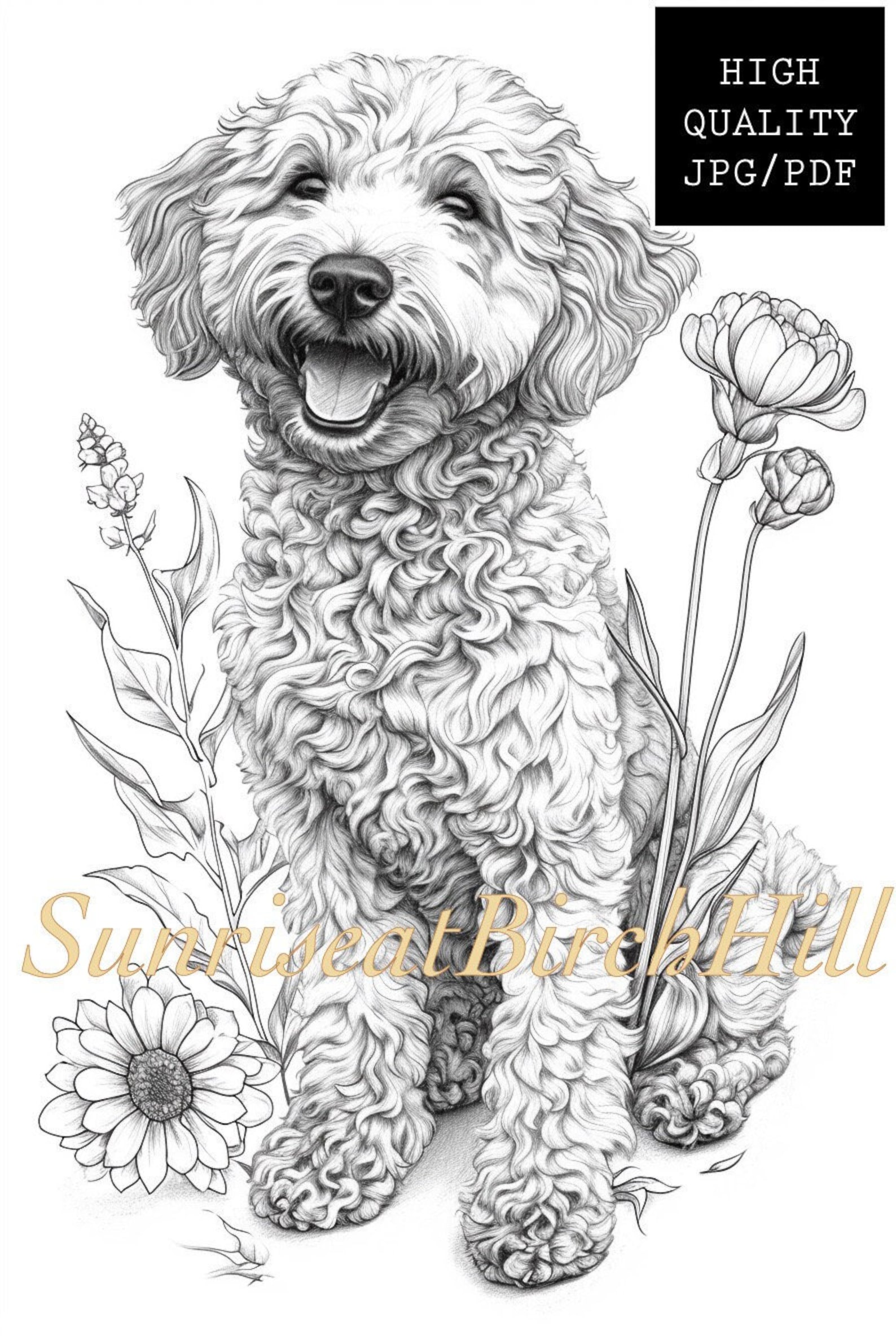 Goldendoodle Dog Coloring Page/sheet, Adult/teen Printable Coloring ...