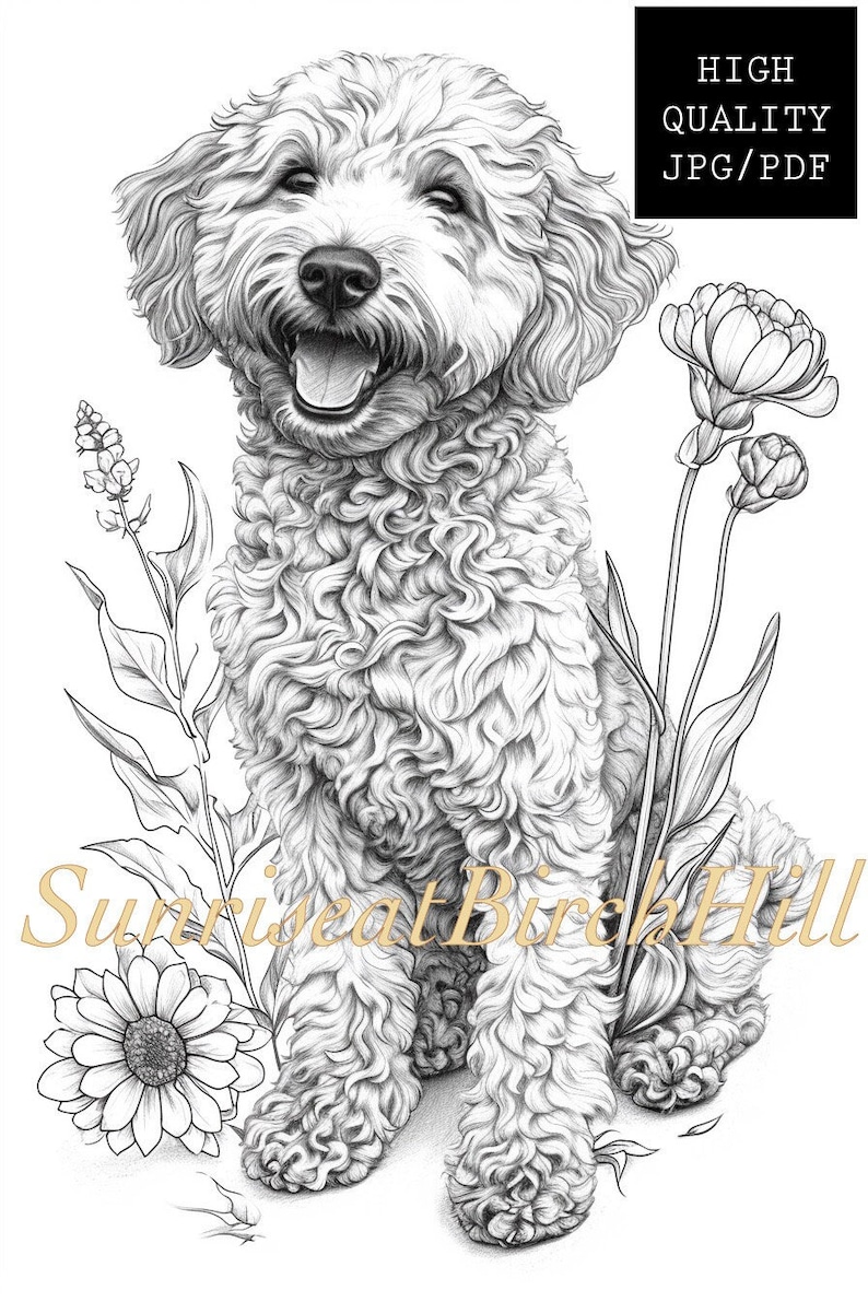 Goldendoodle Dog Coloring Page/sheet, Adult/teen Printable Coloring ...