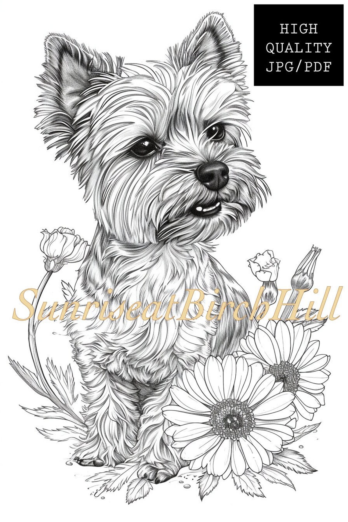 Yorkshire Terrier Dog Coloring Page/sheet, Adult/teen Printable ...