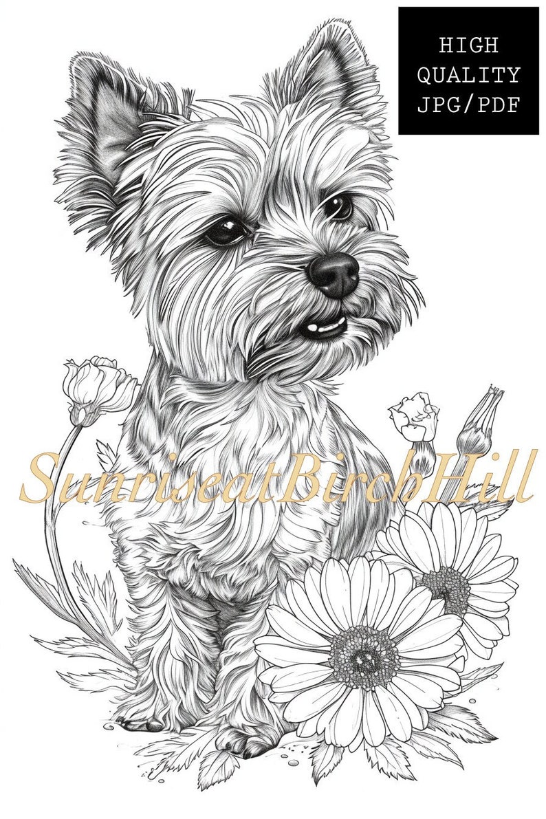 Yorkshire Terrier Dog Coloring Page/sheet, Adult/teen Printable ...