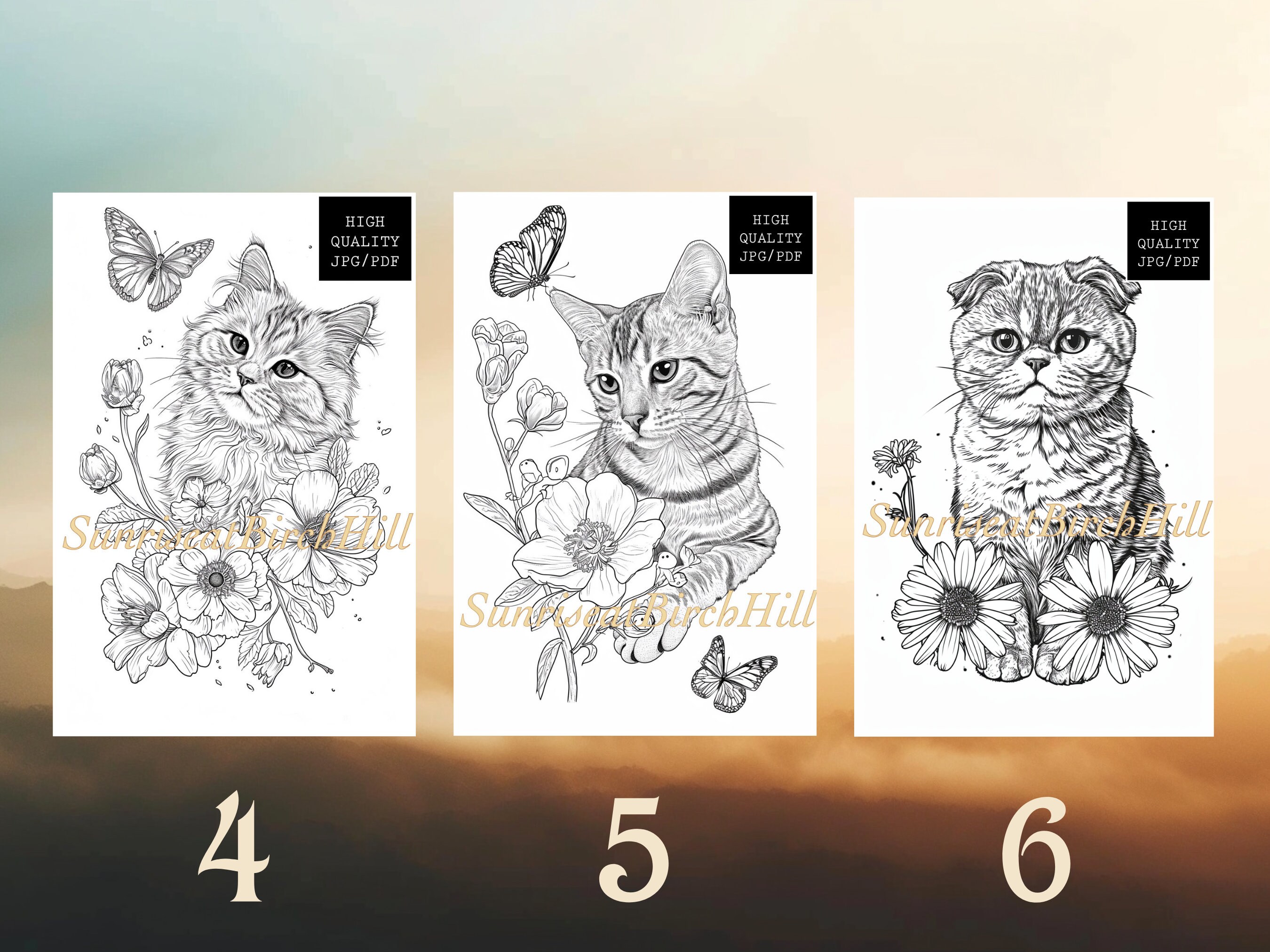 10 Cat Coloring Pages/sheets, Instant Download Printable Cat Coloring ...