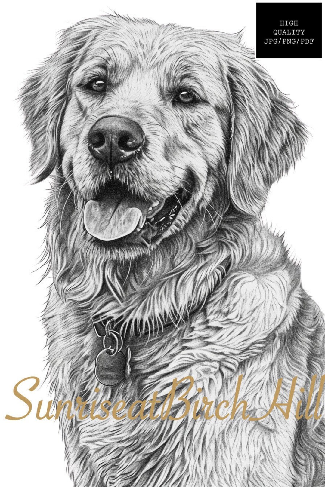 Golden Retriever Dog Coloring Page/sheet, Adult/teen Printable Coloring ...