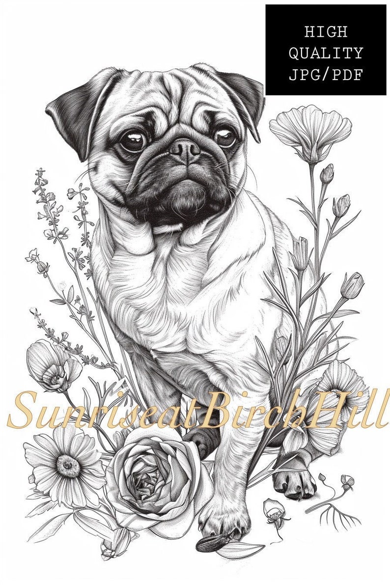 Pug Dog Coloring Page/sheet, Adult/teen Printable Coloring Page of Pet ...