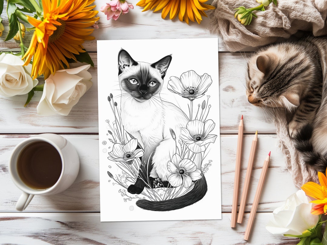 Siamese Cat Coloring Page/sheet, Adult/teen Printable Coloring Page of ...