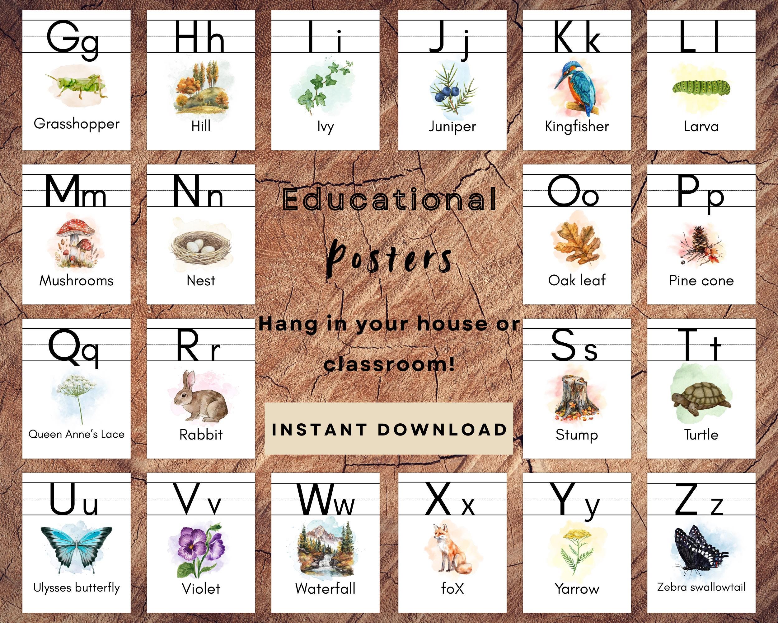 Nature ABC Poster Set, Printable Alphabet Signs for Classroom or ...