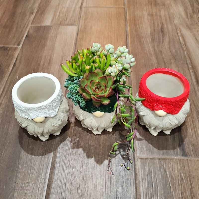 Gnome Feet - Etsy