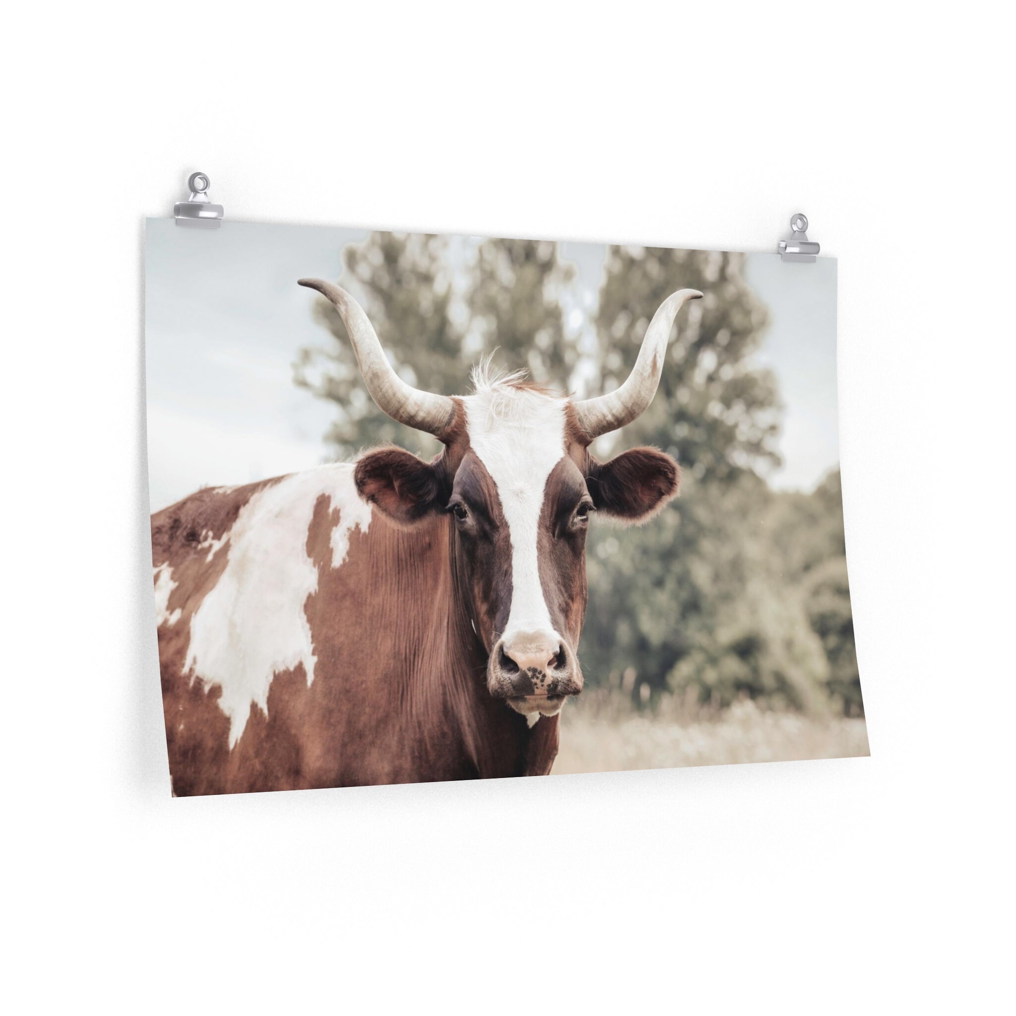 Rustic Cow Canvas, Rustic Cow Poster, Farmhouse Poster, Farmhouse ...