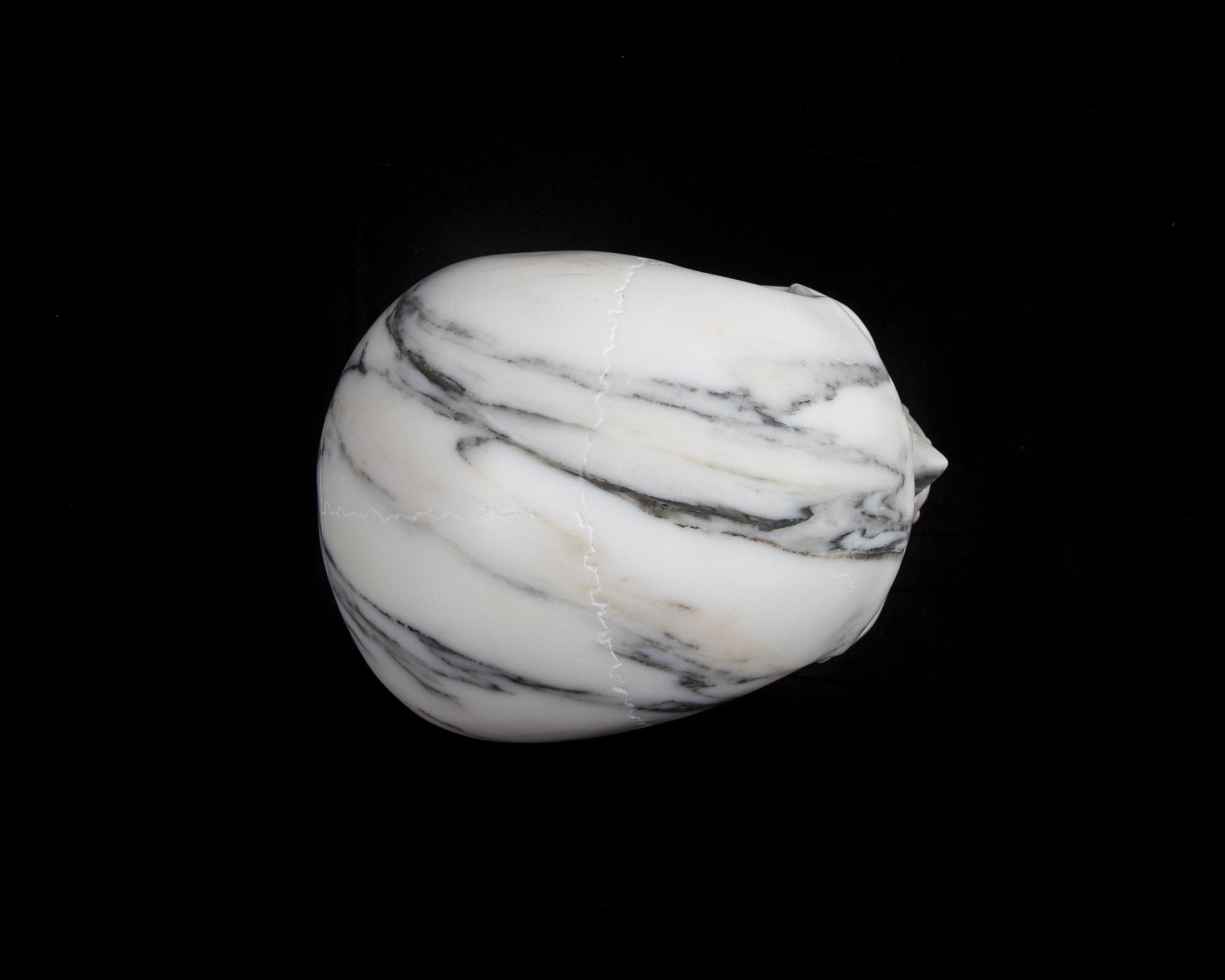 Marble Sculpture the Human Skull Exclusive Decorative White Arabescato ...