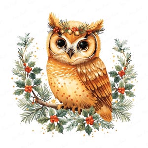 Watercolor Christmas Owl Clipart Bundle: Winter Woodland Art (digital ...