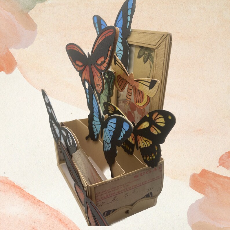 3D Pop up Butterfly Box Card - Etsy Australia
