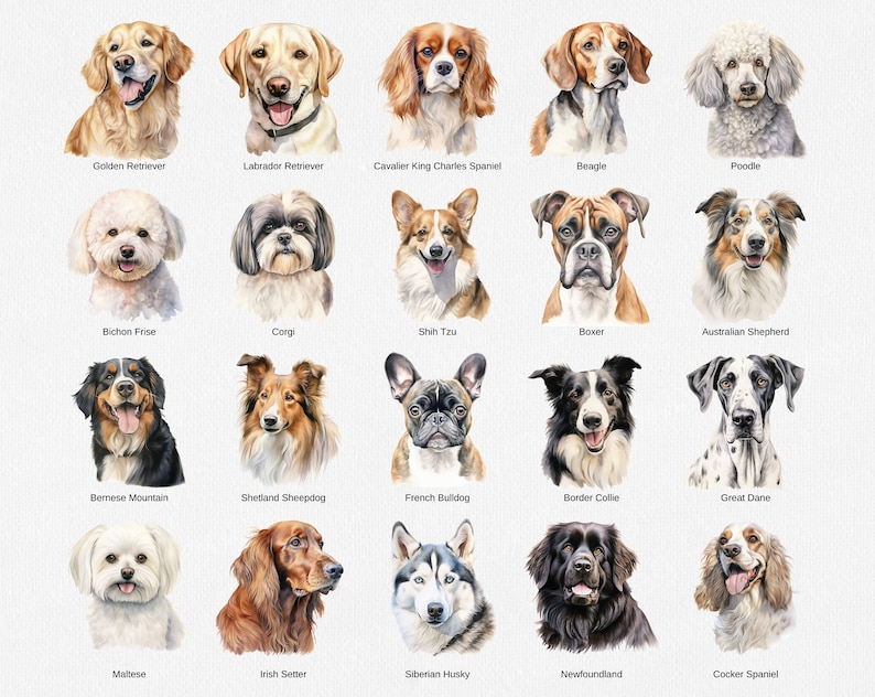 Dog Breeds Clipart Bundle 100 Types of Breeds Watercolor - Etsy